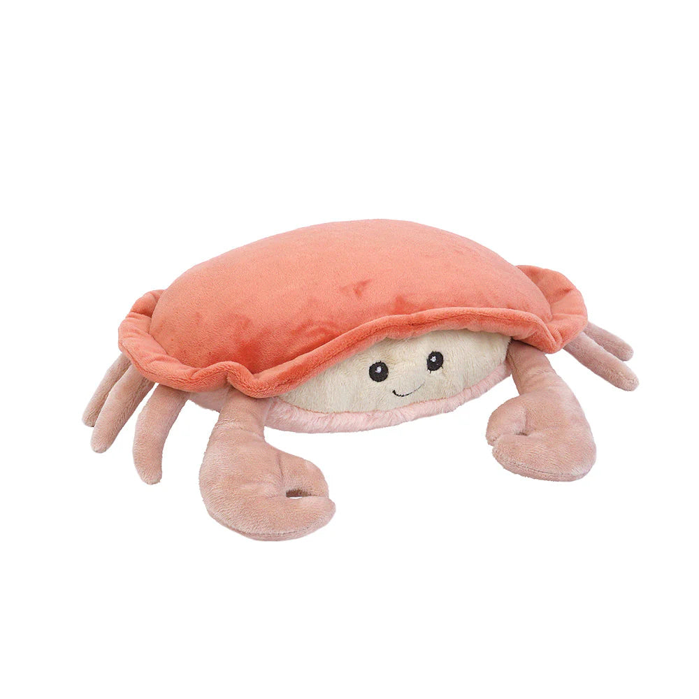 Shy Crab shy-crab